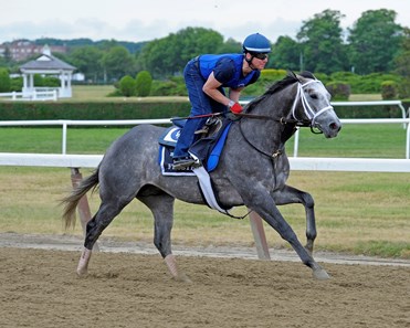 Frosted - Horse Profile - BloodHorse