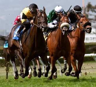 Rock Me Baby - Horse Profile - BloodHorse