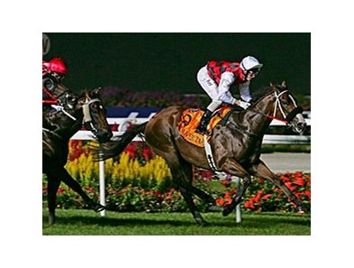 Australian Sprint Star Takeover Target Dies - BloodHorse