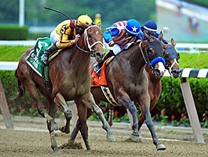 Cavorting - Horse Profile - BloodHorse