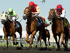 Checkered Past - Horse Profile - BloodHorse