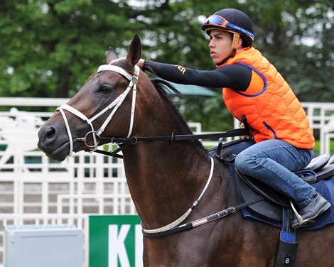 Mubtaahij Moves to Baffert Barn in Southern California - BloodHorse