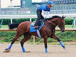 Zayat Stables Inks Promo Deal for 'Pharoah' - BloodHorse