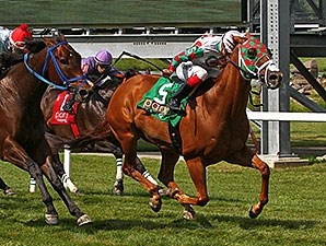 Tightend Touchdown - Horse Profile - BloodHorse