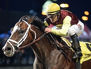 Golden Lad - Horse Profile - BloodHorse