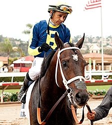 Gabriel Charles - Horse Profile - BloodHorse