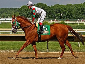 Tightend Touchdown - Horse Profile - BloodHorse