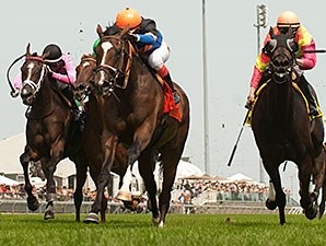 Strut the Course - Horse Profile - BloodHorse