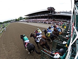 Honor Code - Horse Profile - BloodHorse