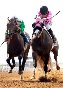 Appealing Tale - Horse Profile - BloodHorse