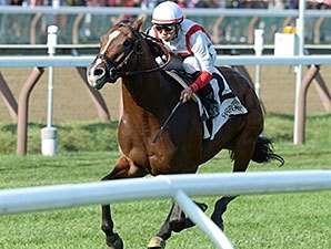 Takeover Target Heads Saranac - BloodHorse