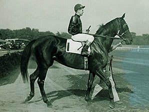 Pedigree Analysis: Busanda - BloodHorse