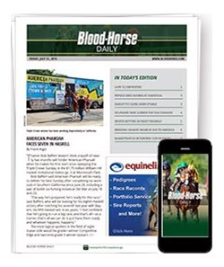 Blood-Horse Launches Blood-Horse Daily - BloodHorse