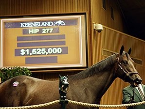 Keeneland Day 2: Distorted Humor Colt Leads - BloodHorse