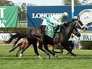 Zabeel Keeping Sir Ivor Line Alive - BloodHorse