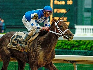 Smarty Jones - Horse Profile - BloodHorse
