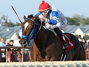 Russell Road - Horse Profile - BloodHorse