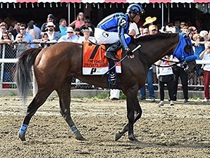 Private Zone - Horse Profile - BloodHorse