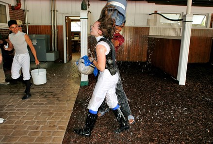 Francois - Horse Profile - BloodHorse