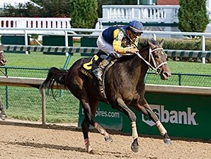 Pedigree Analysis: Colonel John - BloodHorse