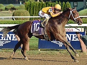 Cavorting - Horse Profile - BloodHorse