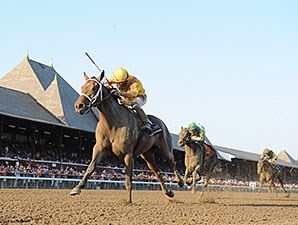 Cavorting - Horse Profile - BloodHorse