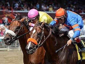 Royal Posse Aces Evan Shipman Stakes Debut - BloodHorse