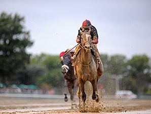 Tonalist - Horse Profile - BloodHorse
