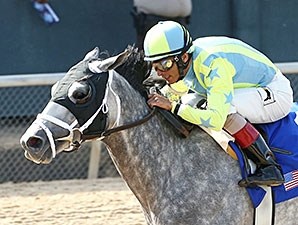Race Day - Horse Profile - BloodHorse