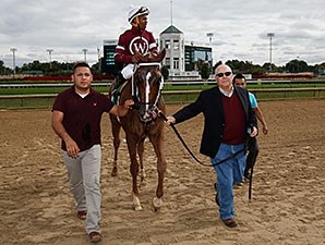 Tapiture - Horse Profile - BloodHorse