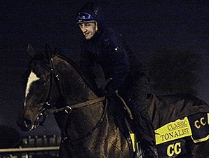 Tonalist - Horse Profile - BloodHorse
