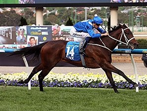 Filly Winx Smashes Course Record in Cox Plate - BloodHorse