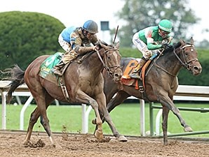 Brody's Cause - Horse Profile - BloodHorse