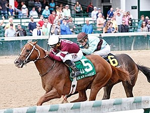 Tapiture - Horse Profile - BloodHorse