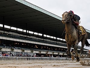 Tonalist - Horse Profile - BloodHorse