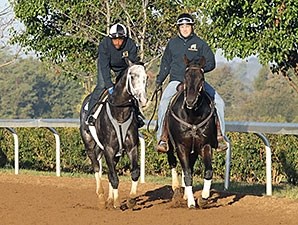 Liam's Map - Horse Profile - BloodHorse