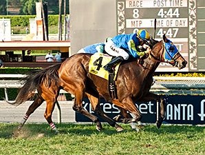 Belle Hill Ships in for Autumn Miss Score - BloodHorse