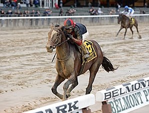Tonalist - Horse Profile - BloodHorse