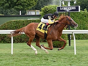 Messi (GER) - Horse Profile - BloodHorse