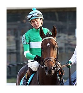Santa Anita Derby Taking Shape - BloodHorse