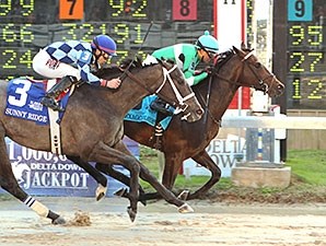 Exaggerator - Horse Profile - BloodHorse