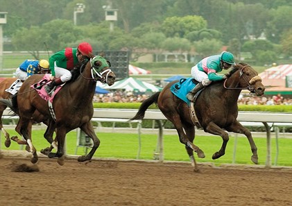 Tiago - Horse Profile - BloodHorse