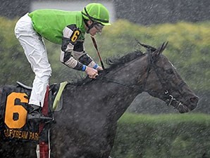 Lochte - Horse Profile - BloodHorse
