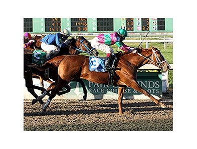 Dolphus Possible for Stakes Debut in Lecomte - BloodHorse