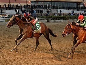 Tonalist - Horse Profile - BloodHorse