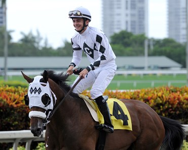 Fast Anna - Horse Profile - BloodHorse