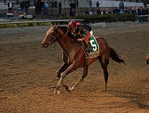 Tonalist - Horse Profile - BloodHorse