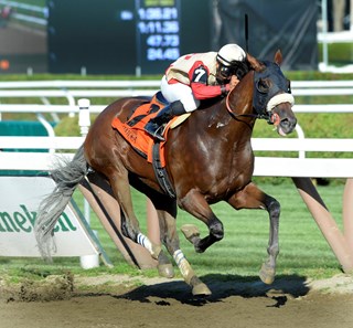 Wicked Strong - Horse Profile - BloodHorse