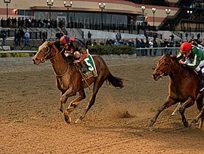 Tonalist - Horse Profile - BloodHorse