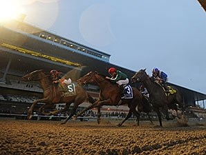 Tonalist - Horse Profile - BloodHorse